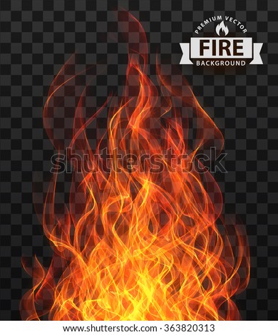 Fire Stock Images, Royalty-Free Images & Vectors | Shutterstock